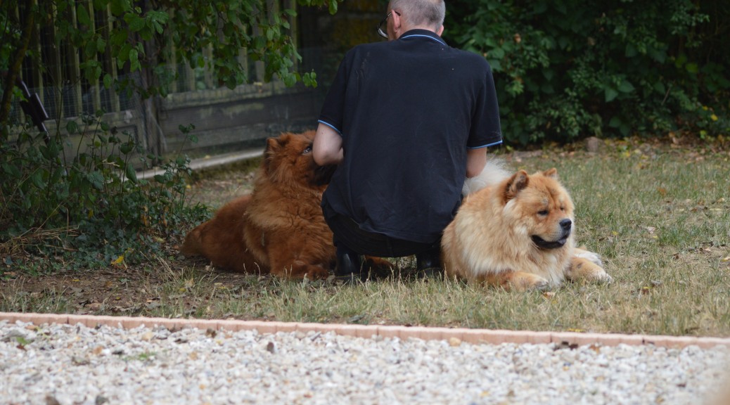 Sandrine et Frédéric | Chow au Coeur